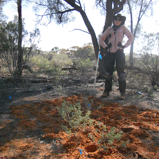 Photo gallery – Behavioural Ecology and Conservation Lab