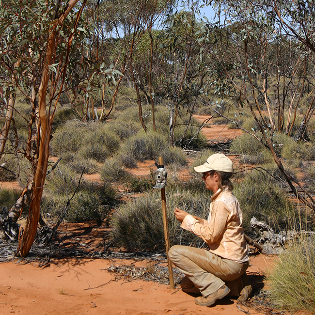 Photo gallery – Behavioural Ecology and Conservation Lab